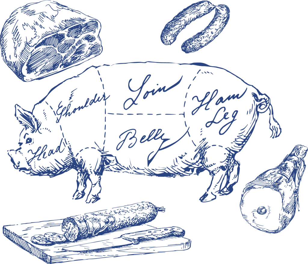 Ginger Bee Farm Kune Kunes | Kune Kune Homestead Pork and Lard