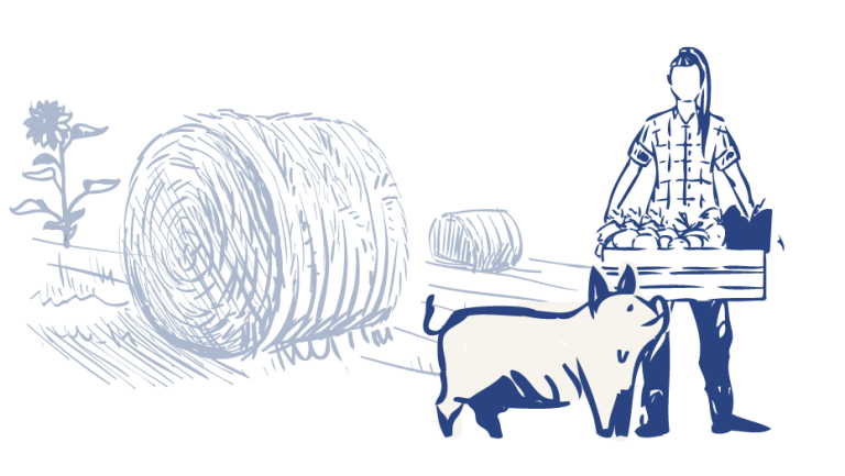 Ginger Bee Farm Kune Kunes | Kune Kune Feeding and Feed Conversion